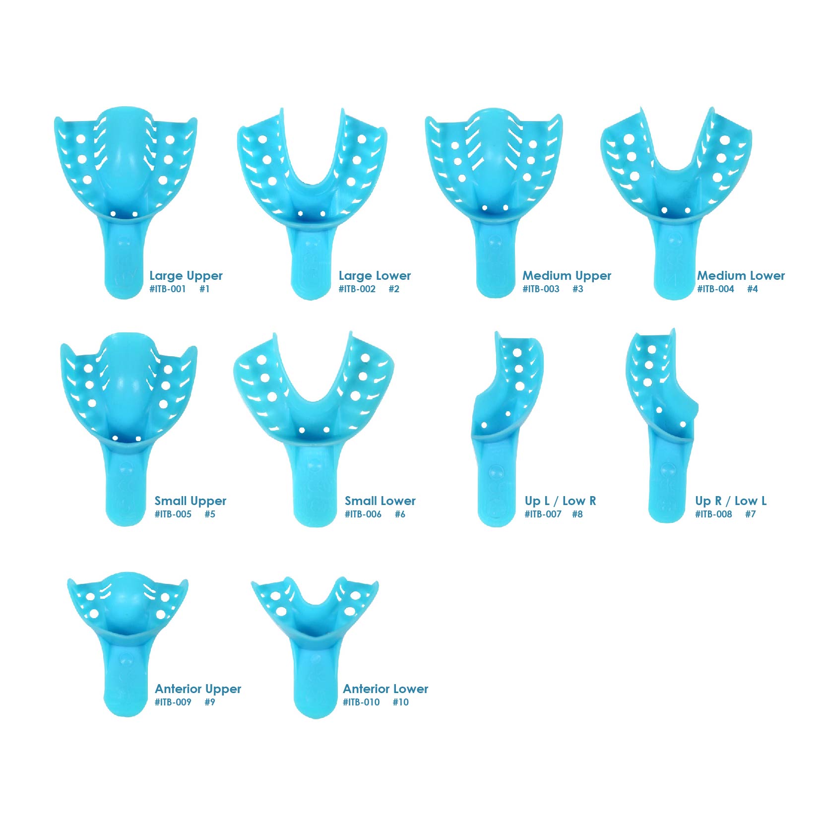 Disposable Perforated Impression Trays-Wellmed Dental Medical Supply Co ...