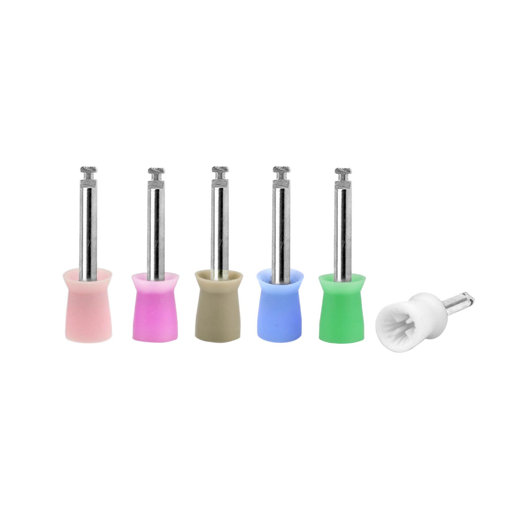 Prophy Cups | 4/6 Webs-Wellmed Dental Medical Supply Co., Ltd