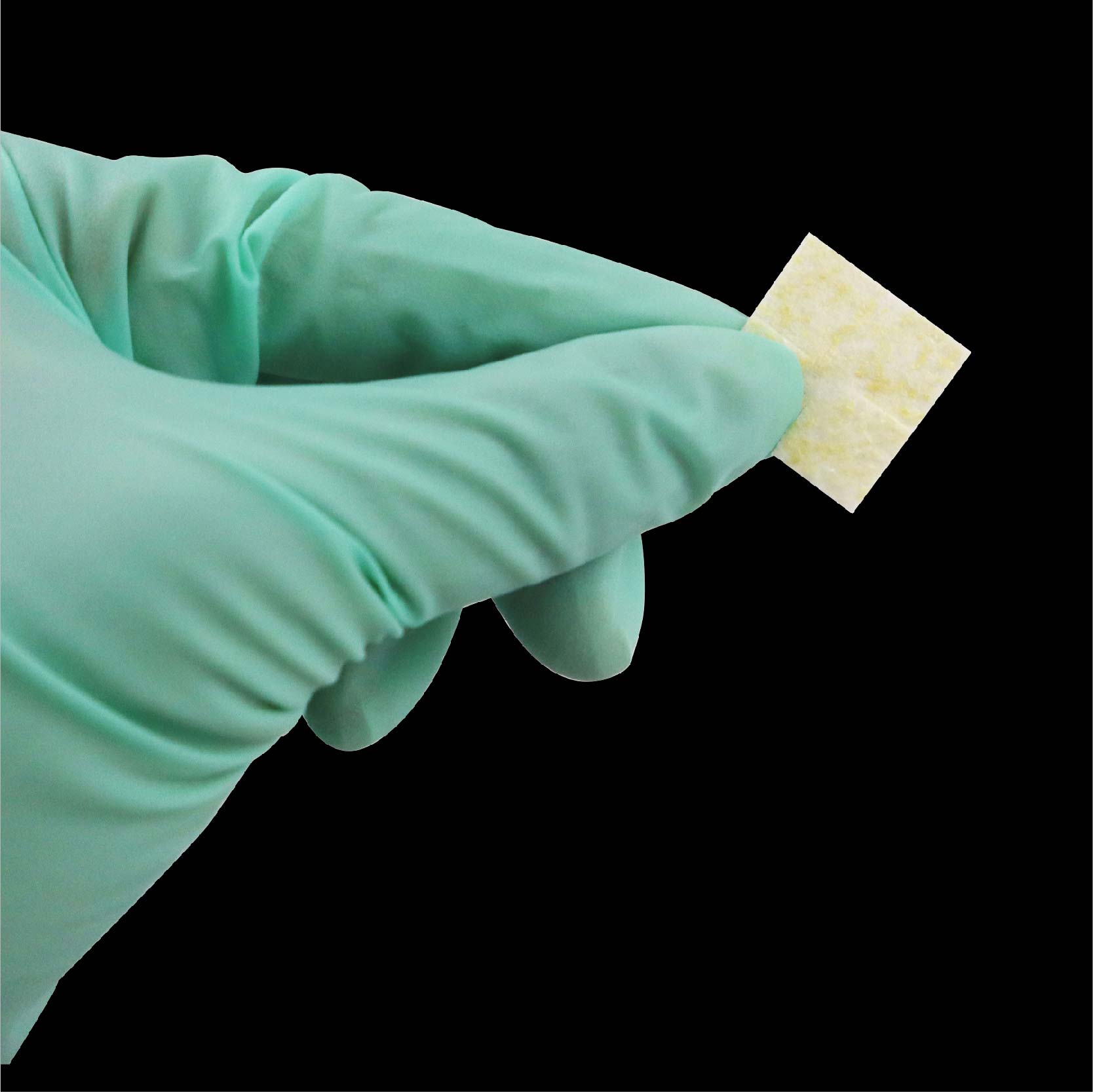 Chitosan Hemostatic Dressing-Wellmed Dental Medical Supply Co., Ltd